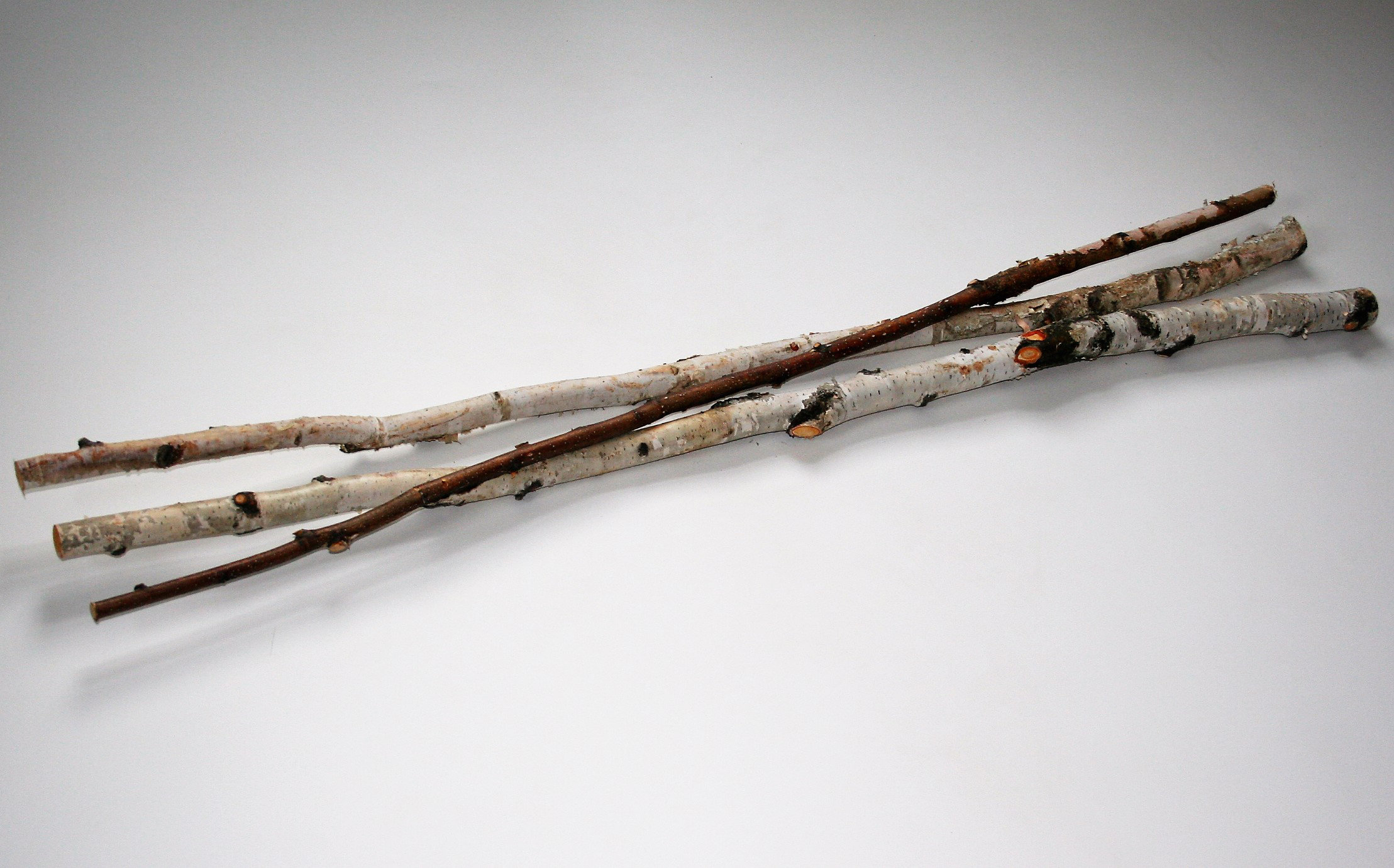 Millwood Pines Wilson Preserved Birch Branch Pack (Set of 3) & Reviews ...