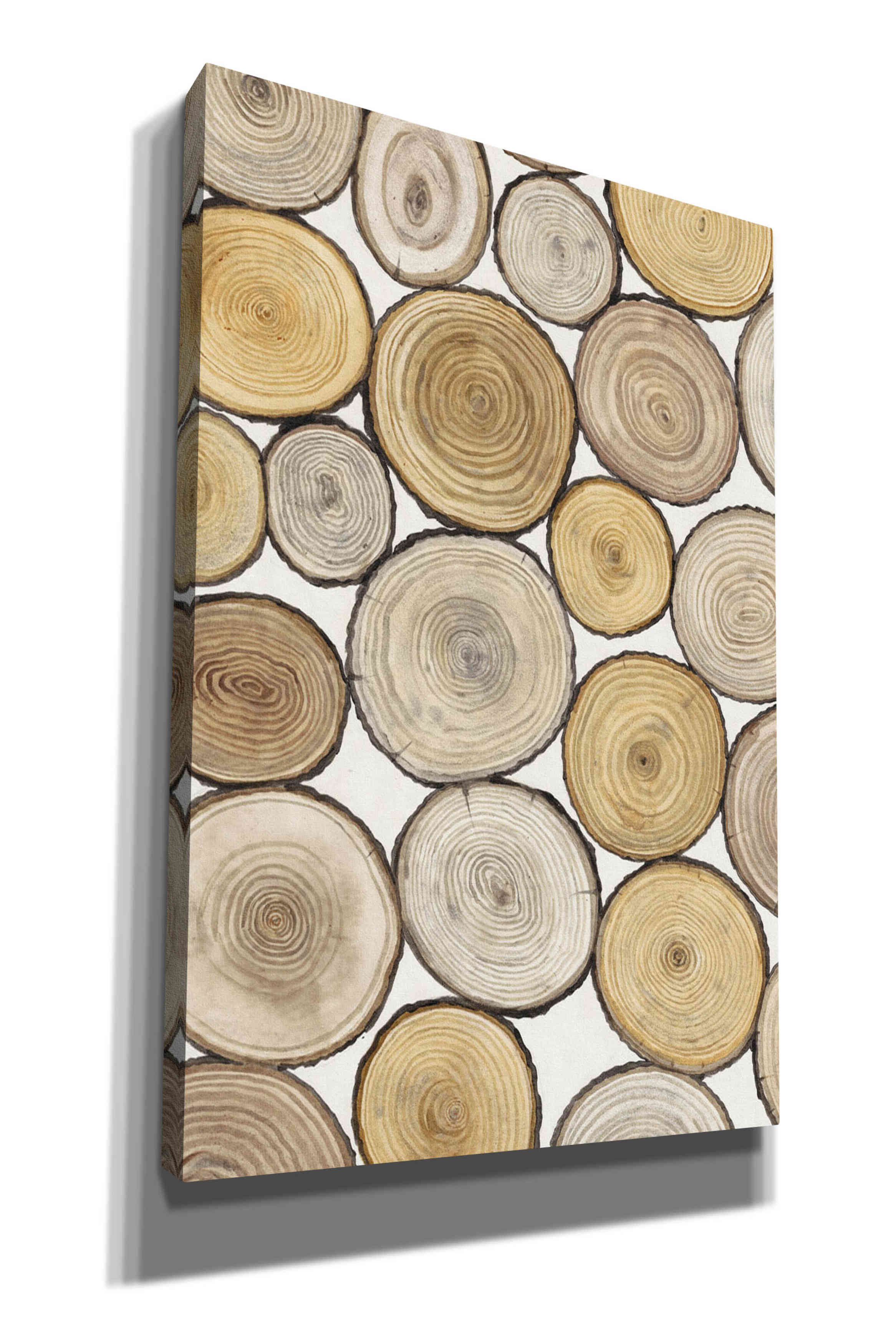 Loon Peak® Tree Ring Study I' By Tim O'toole, Canvas Wall Art | Wayfair