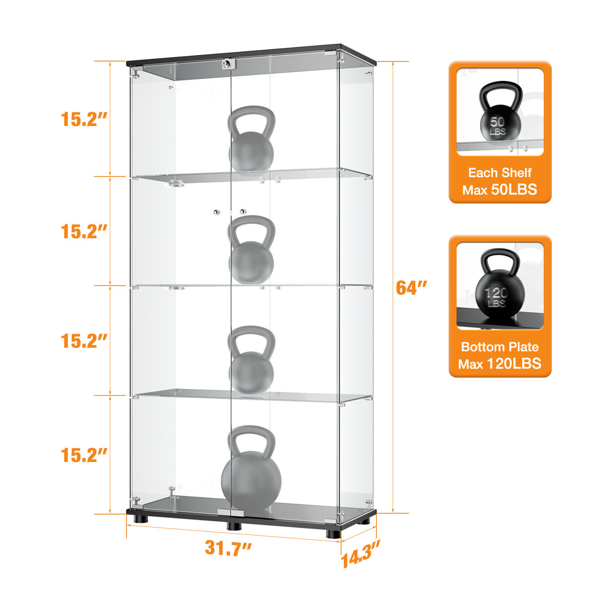 Wrought Studio™ Modern 4-Tier Glass Display Stand – 64" Curio Cabinet ...