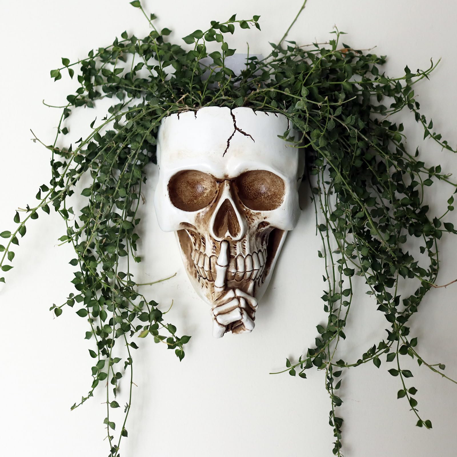 Lark Manor™ Wall Planter For Indoor Outdoor Plants, Hanging Skull Vase Unique Face Flower Pot ...