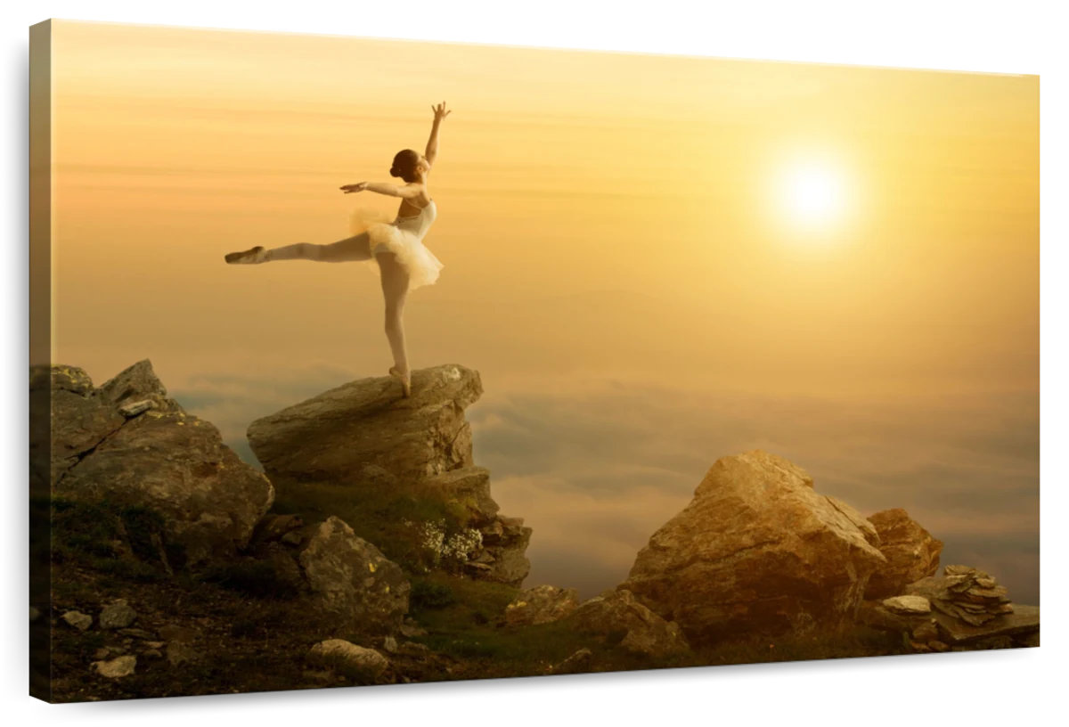 House of Hampton® Enn Cliff Ballerina | Wayfair