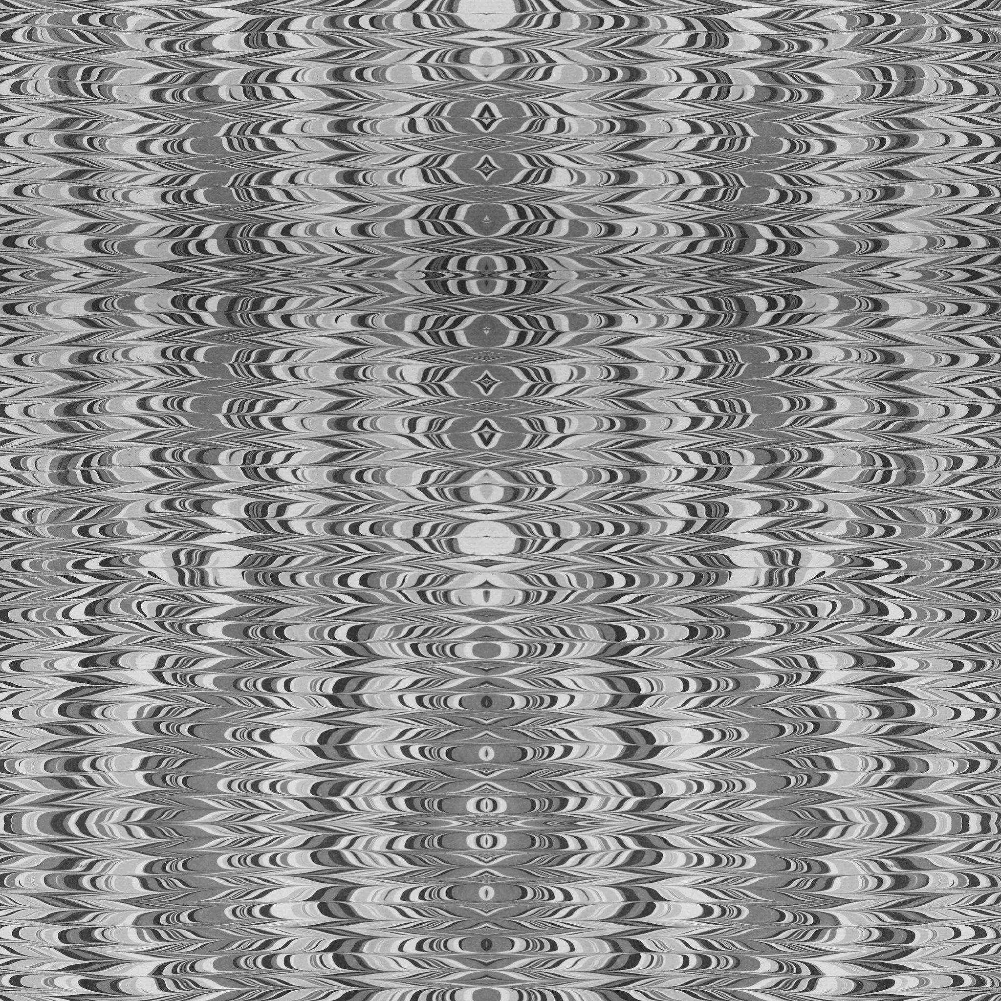 Mitchell Black Abra Feather 10' L x 24" W Wallpaper Roll | Wayfair
