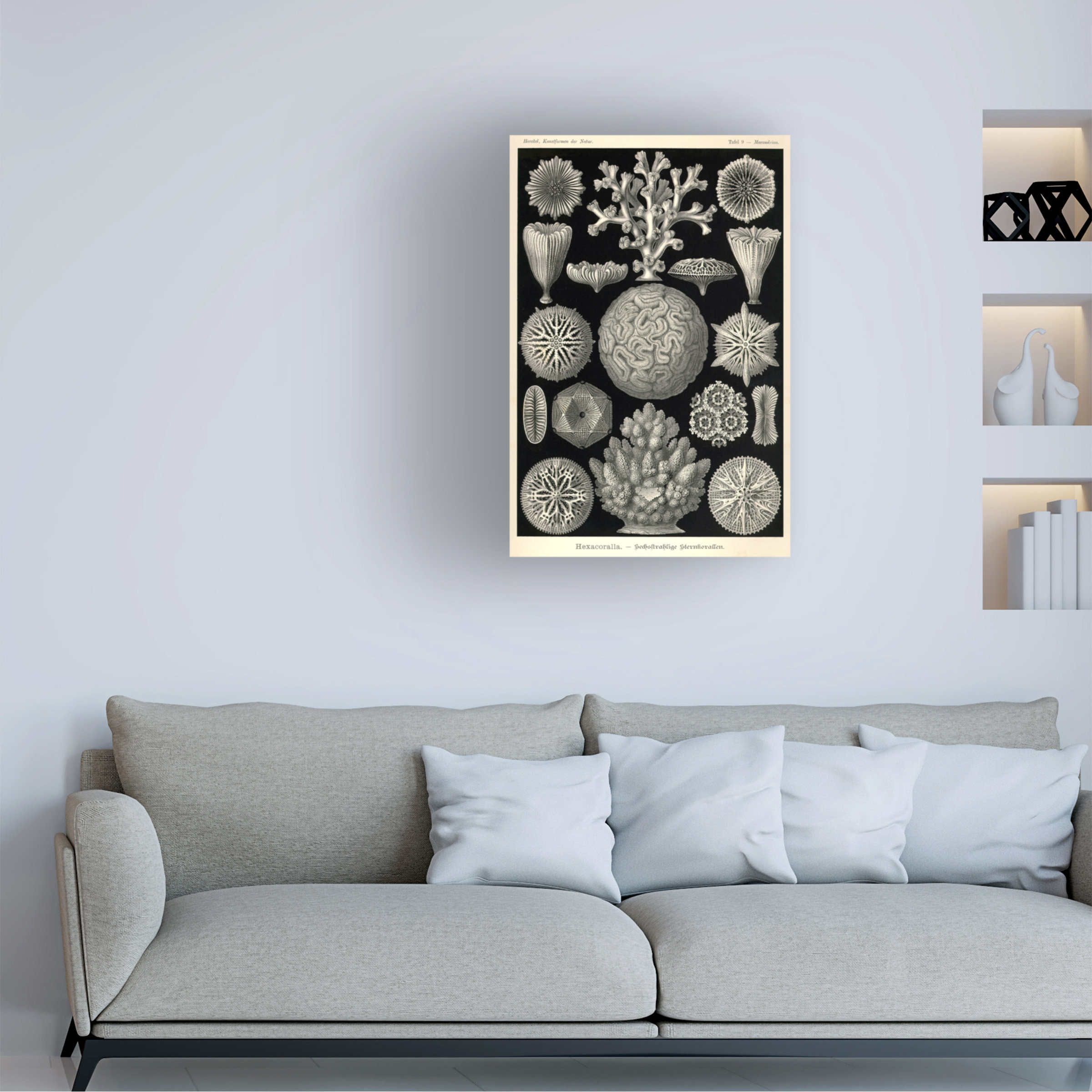 Winston Porter Print Collection 'Hexacoralla' Canvas Art - Wayfair Canada