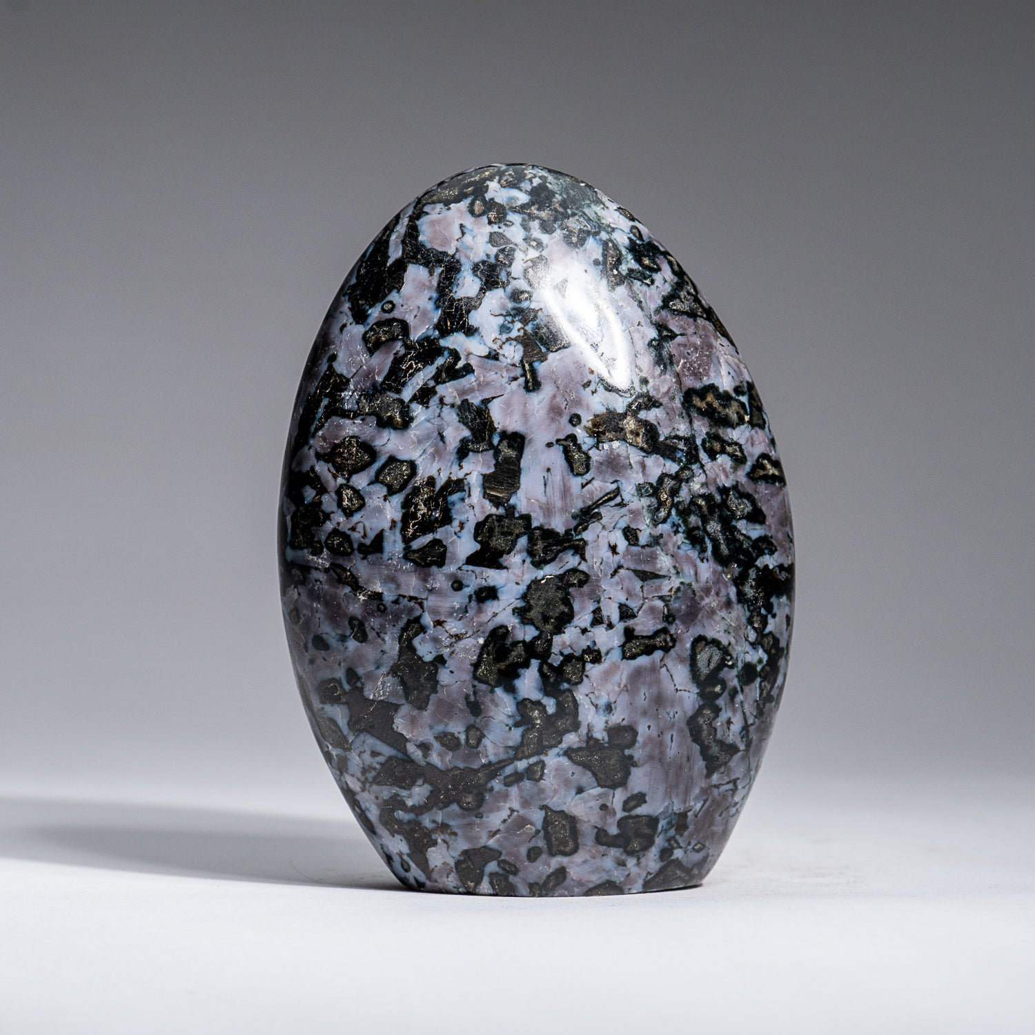 Astro Gallery of Gems Genuine Polished Indigo Gabbro Freeform from ...