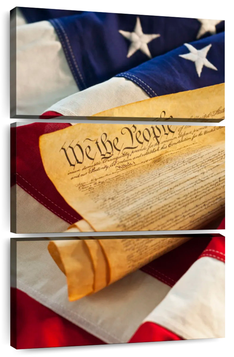 Trinx Keiri American Flag Preamble | Wayfair