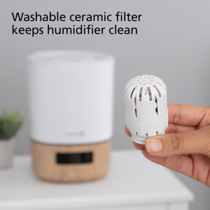 Safety 1st Smart Humidifier & Reviews | Wayfair