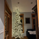 The Holiday Aisle® Johvan Deluxe Pre-Lit Slender Flocked Realistic Fir ...