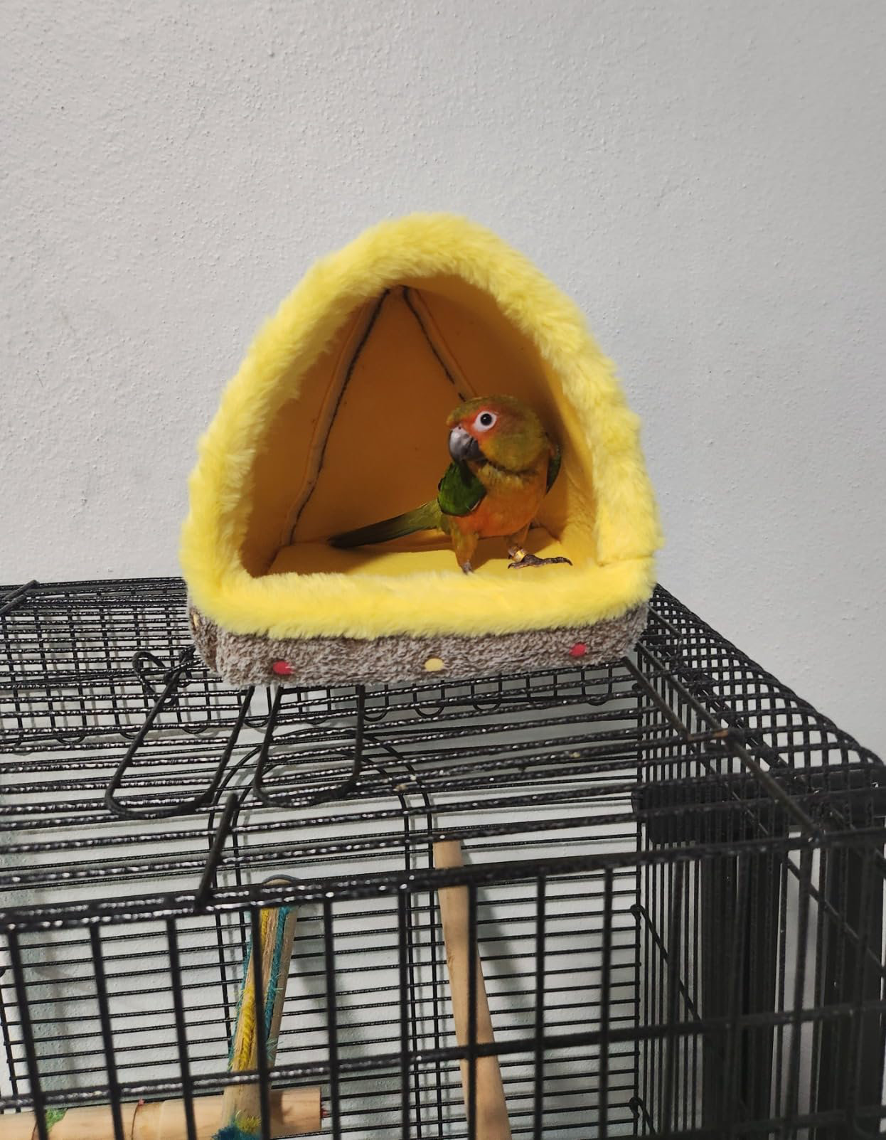 Arlmont & Co. Winter Warm Bird Nest House, Fluffy Parrots Bird Bed ...