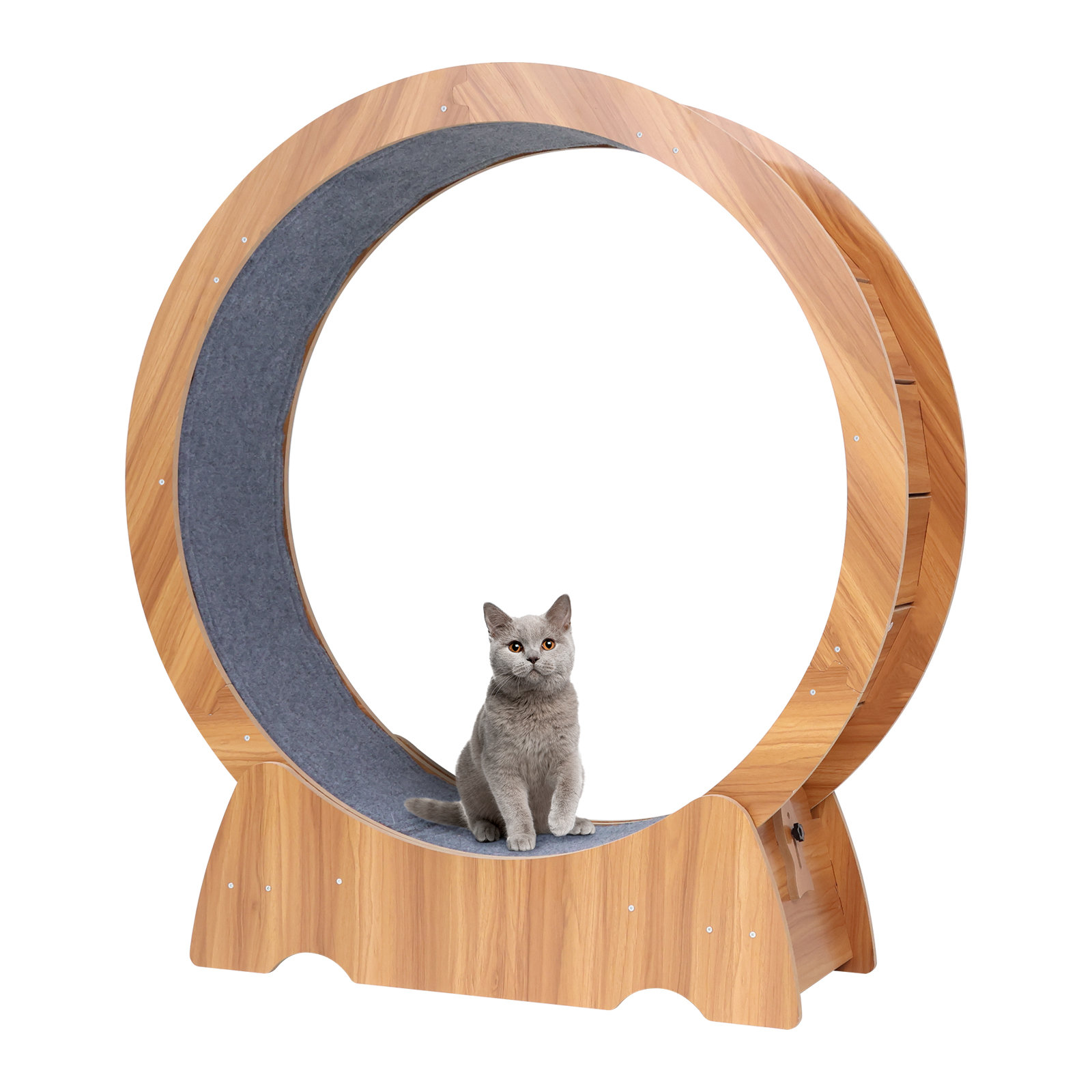 Tucker Murphy Pet™ Denora 45'' Large Cat Running Wheel Treadmill ...