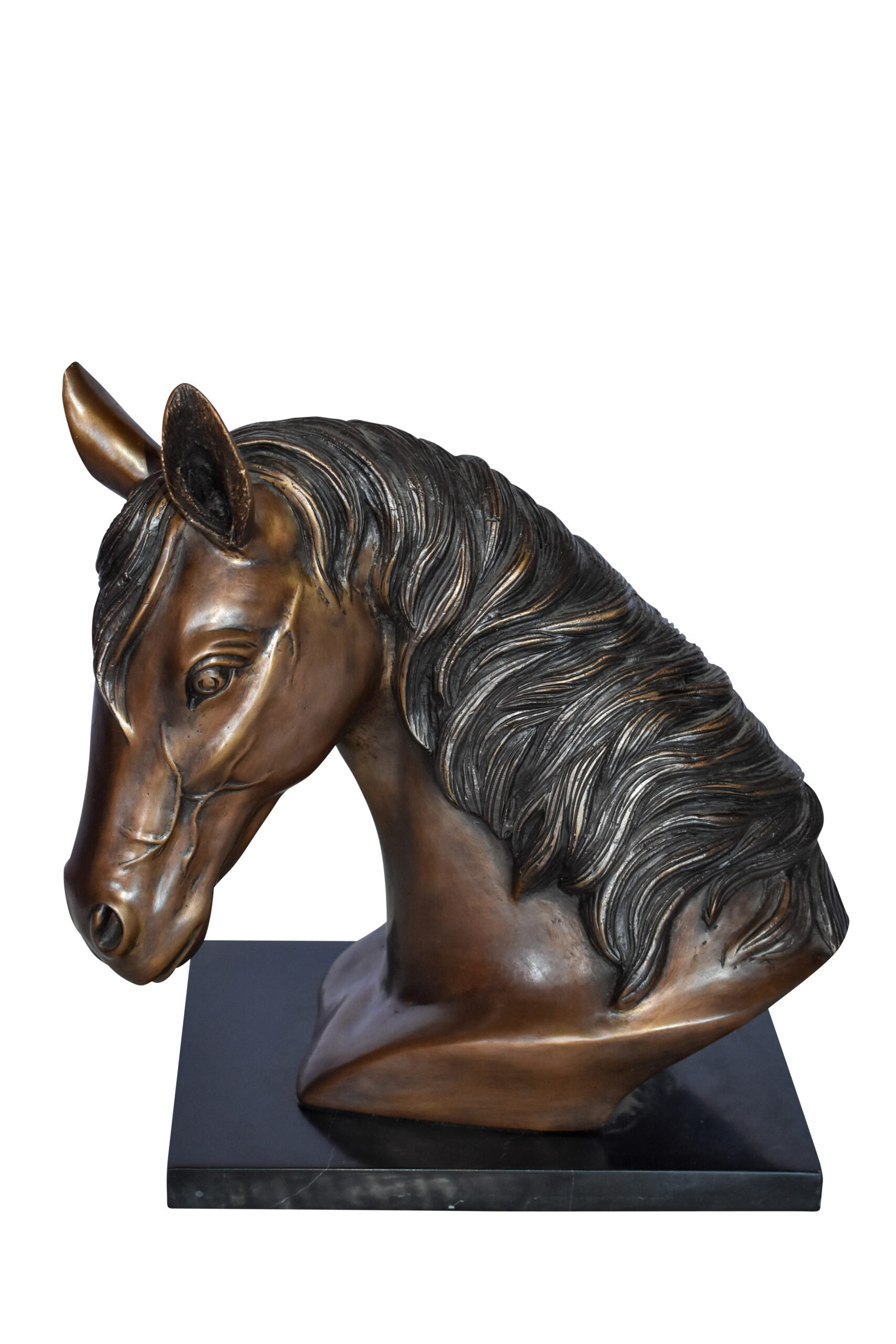 Rosalind Wheeler Buste de cheval Amyiah en bronze monté sur marbre ...