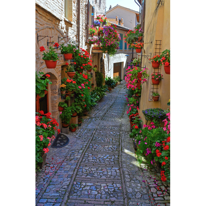 ANMINY Scene Setter - Wayfair Canada