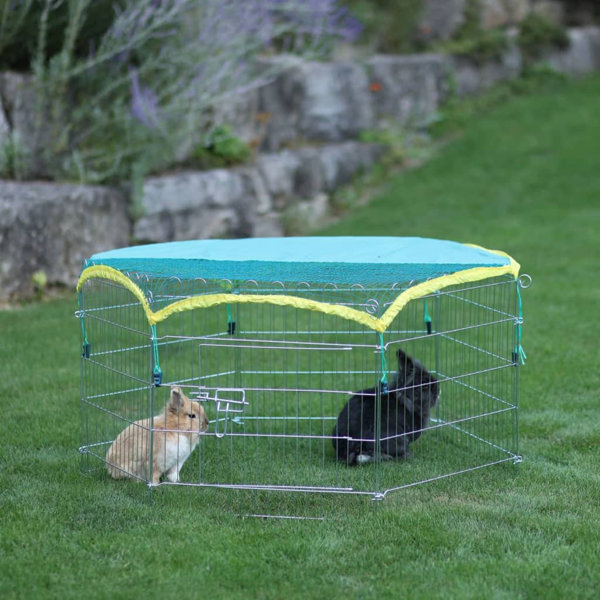Archie & Oscar Presley Weather Resistant Rabbit Run | Wayfair.co.uk