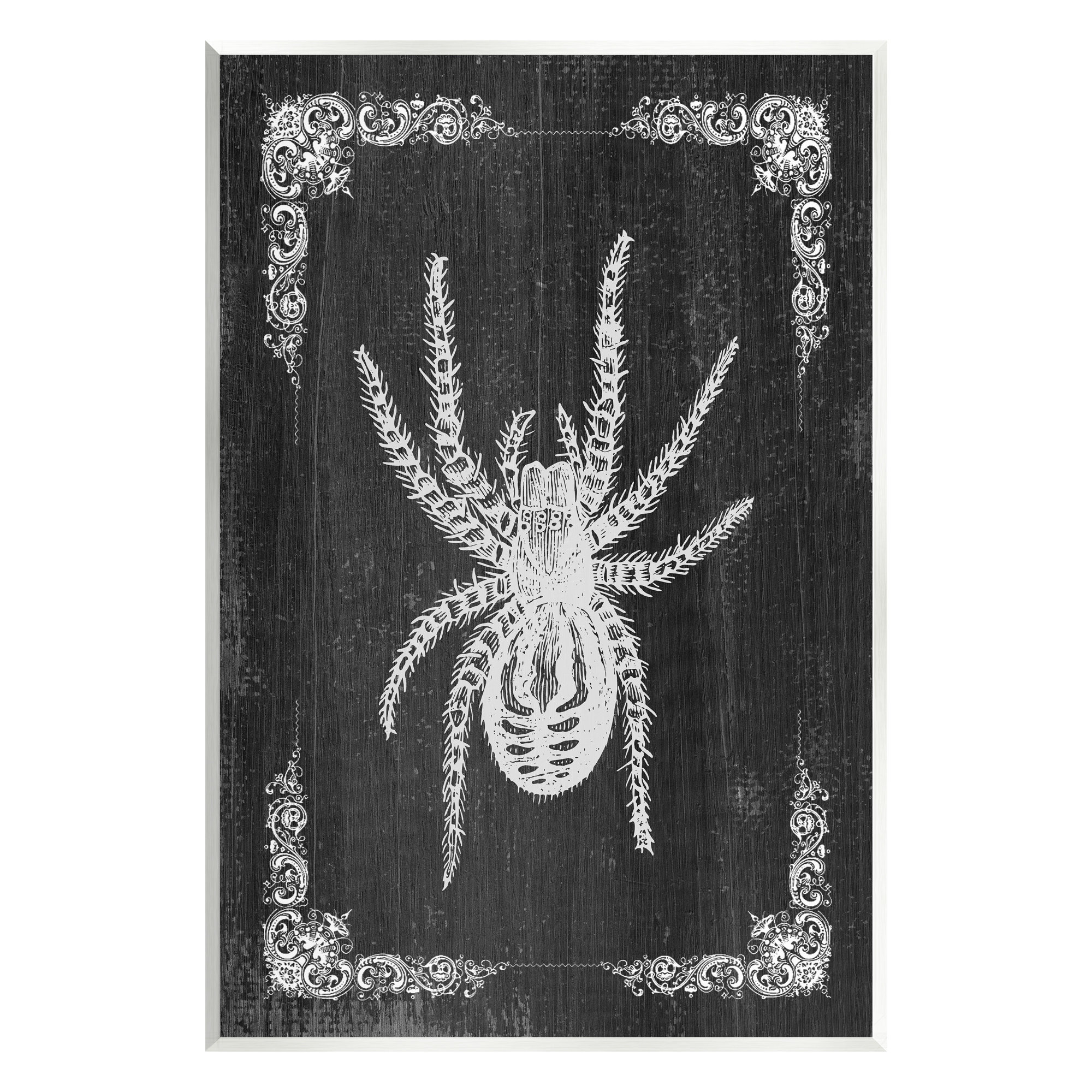 Stupell Industries Ax-414-Wood Black & White Spider On MDF by Lil' Rue ...
