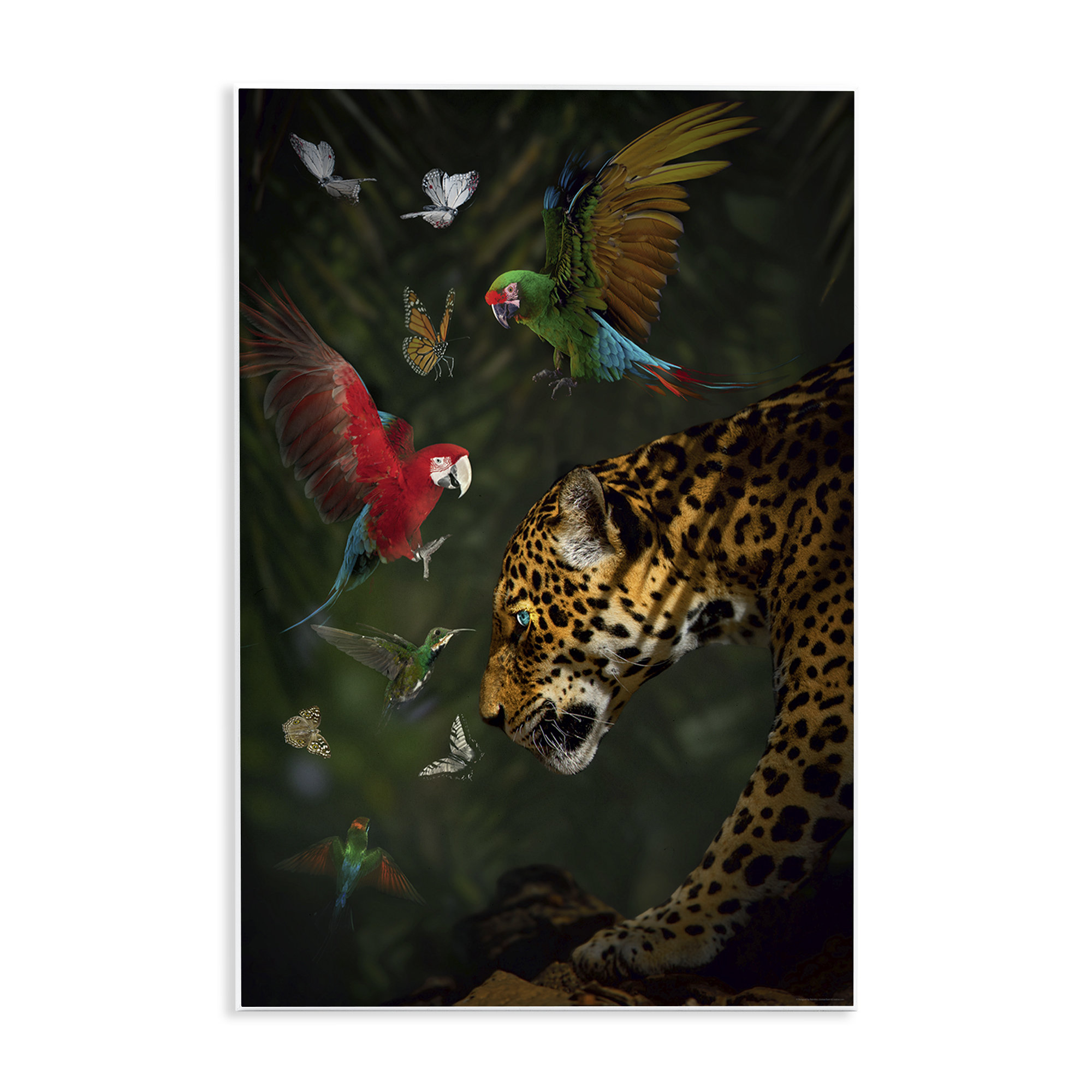 Ebern Designs Jungle Brawl Animals Wall Plaque Art by Reinders | Wayfair