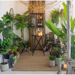 Bungalow Rose Madilyne Terracotta Pot Planter & Reviews | Wayfair