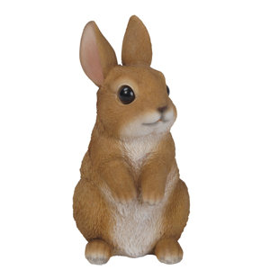 Hi-Line Gift Ltd. Standing Rabbit Statue & Reviews | Wayfair