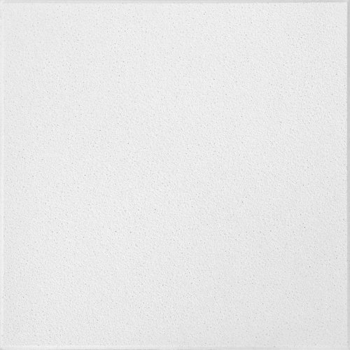 Armstrong Ceilings SAHARA 2 ft. x 2 ft. Drop-in Ceiling Tile in White ...