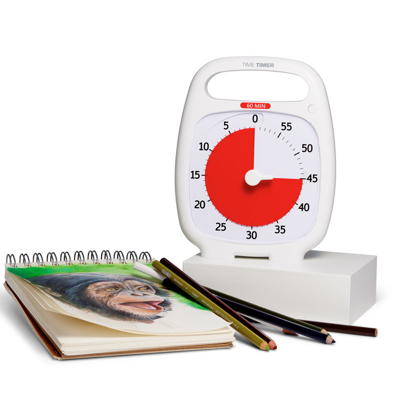 Time Timer® Plus 60 Minute | Wayfair