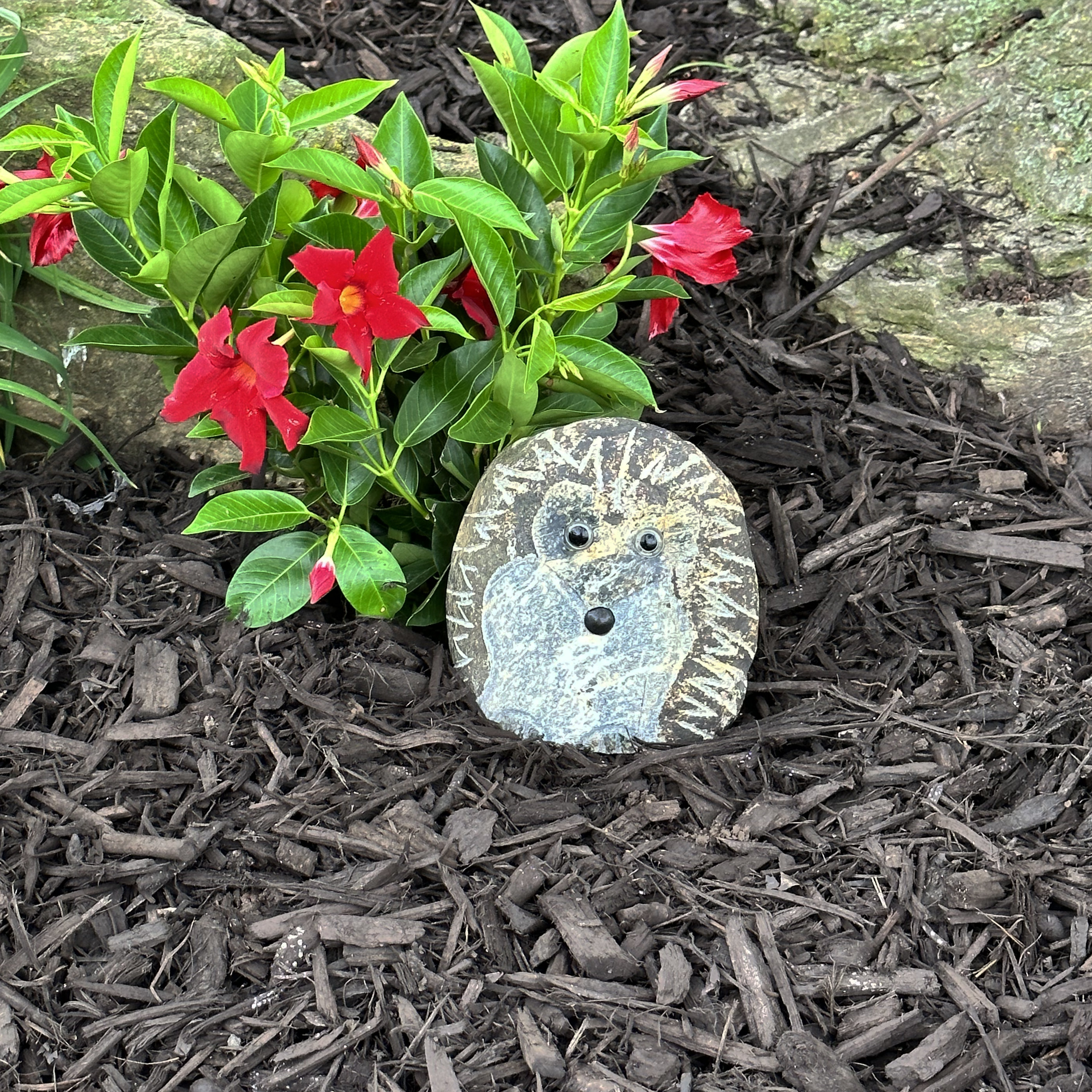 Tierra Garden Hérisson sur pierre 6 po Stone Age Creations - Wayfair Canada