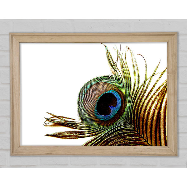 Bloomsbury Market Peacock Feather Close-Up - Single Picture Frame Print ...