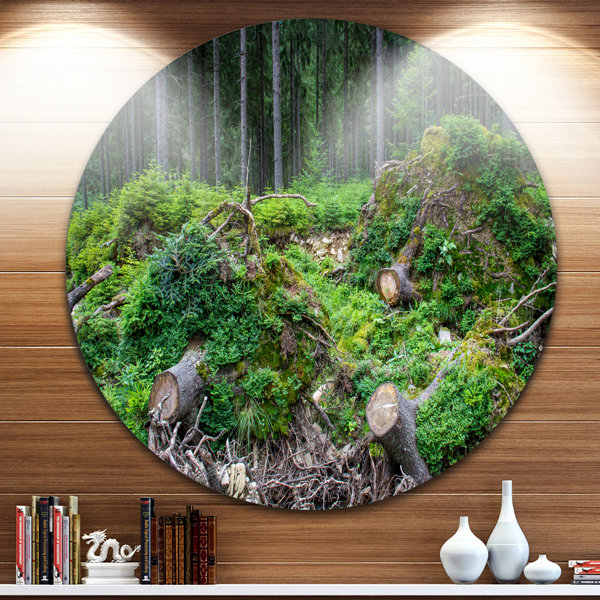 DesignArt " Wild Deep Forest Rocks And Hills " on Metal - Wayfair Canada