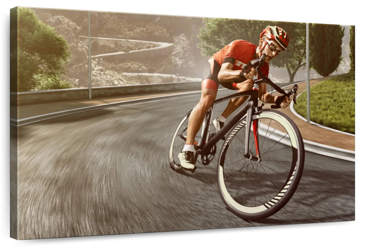Ebern Designs Sireci Winding Road Cycling | Wayfair