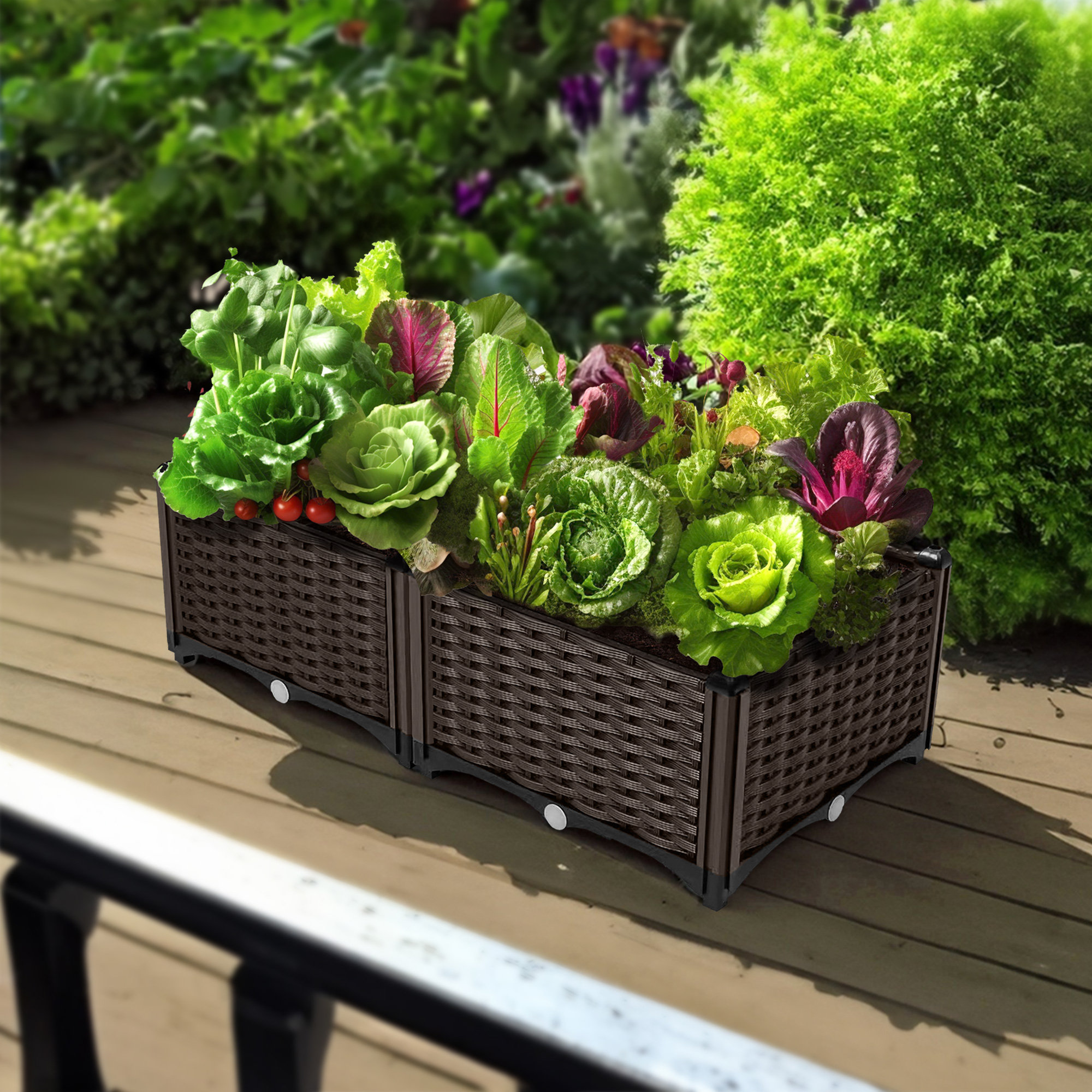 Arlmont & Co. Lit de jardin surélevé pour l'extérieur Curet - Wayfair ...