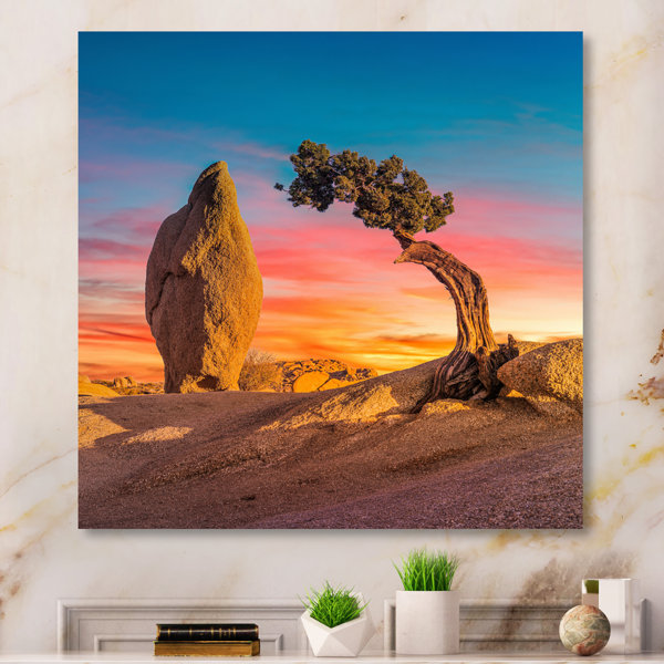 Union Rustic Solitude Tree On Arkansas Desert On Canvas Print | Wayfair