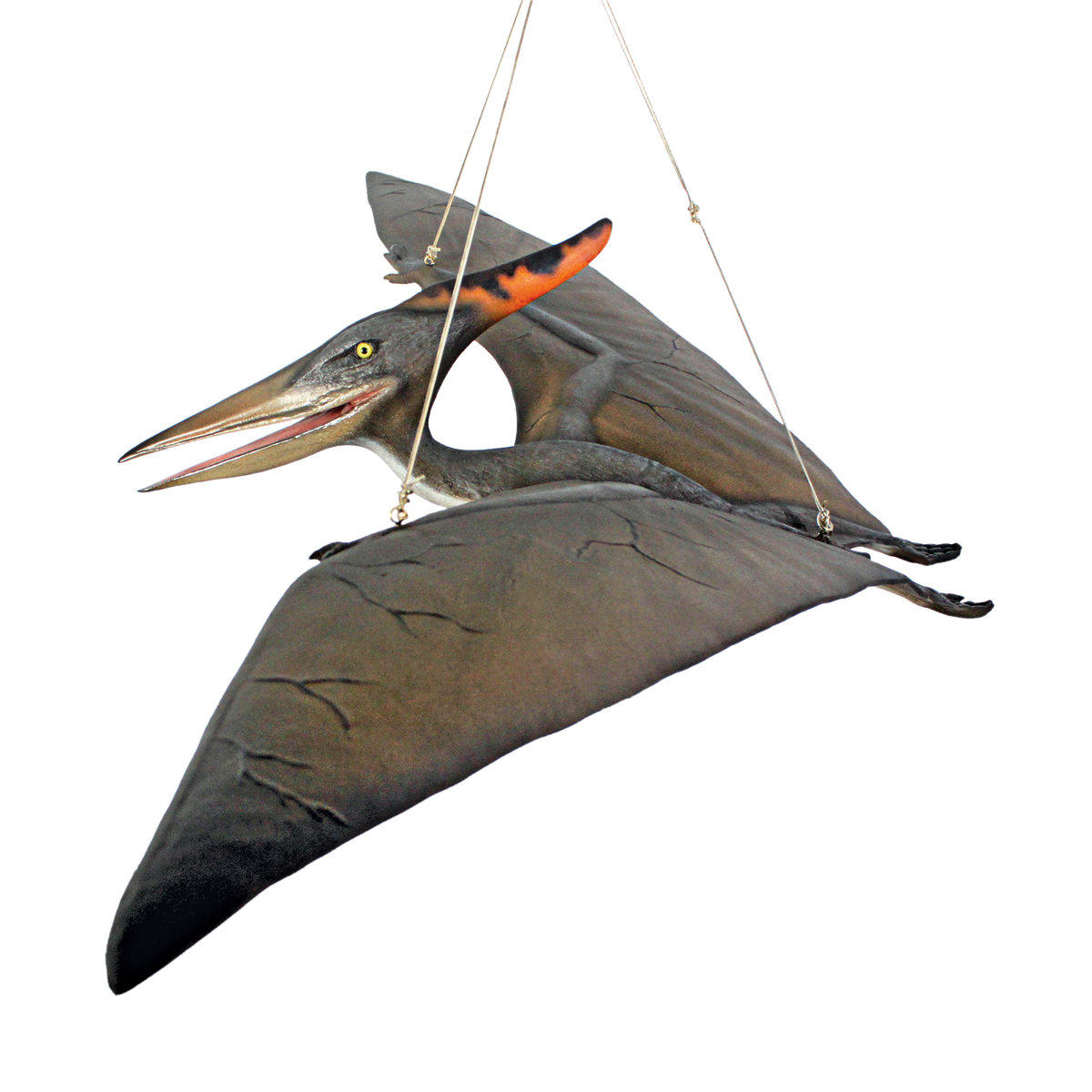 Design Toscano Pteranodon Scaled Dinosaur Statue | Wayfair