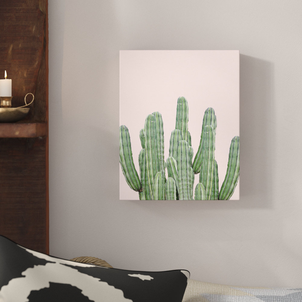 Dakota Fields 'Cactus on Pink' Graphic Art Print on Wrapped Canvas ...