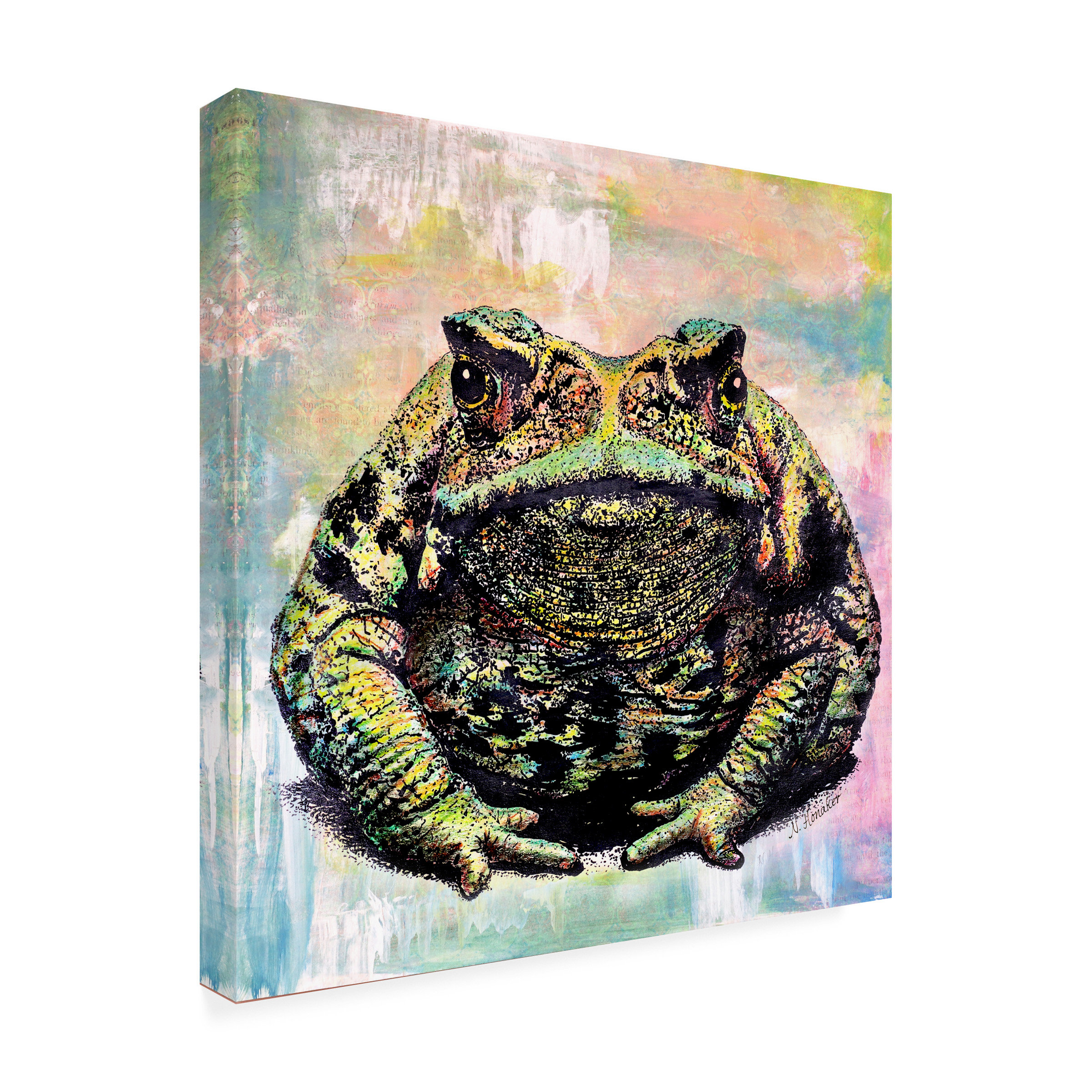 Rosalind Wheeler Let Your Art Soar ''Toad Color'' Canvas Art | Wayfair
