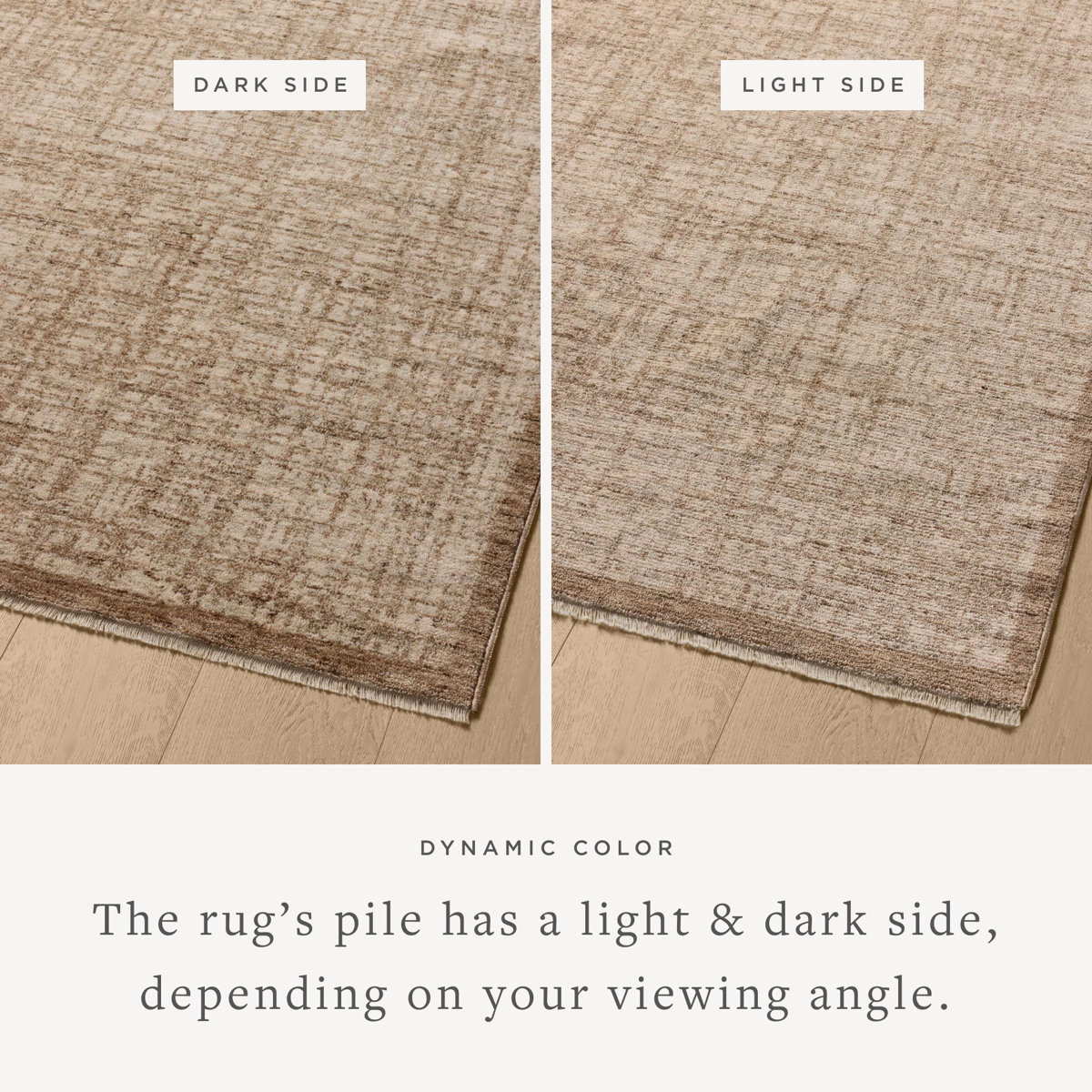 17 Stories Bethalto Earth / Bone Area Rug | Wayfair
