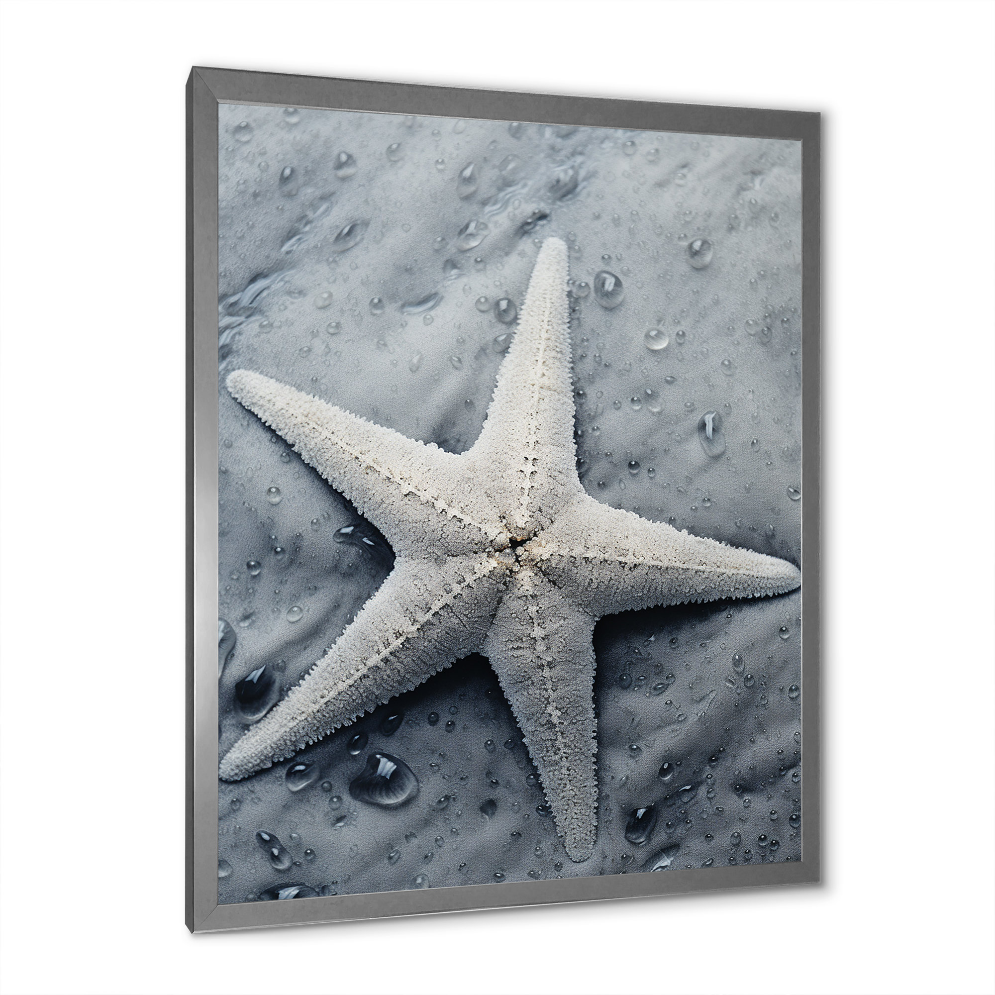 Highland Dunes Grey Minimalist Starfish Coastal Gem - Starfish Wall Art ...