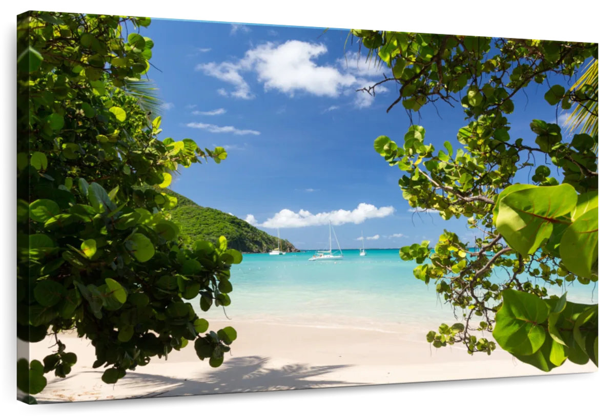 Beachcrest Home™ Anse Marcel Gillard | Wayfair