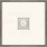 Rosecliff Heights Fish Intaglio - Single Picture Frame Graphic Art ...
