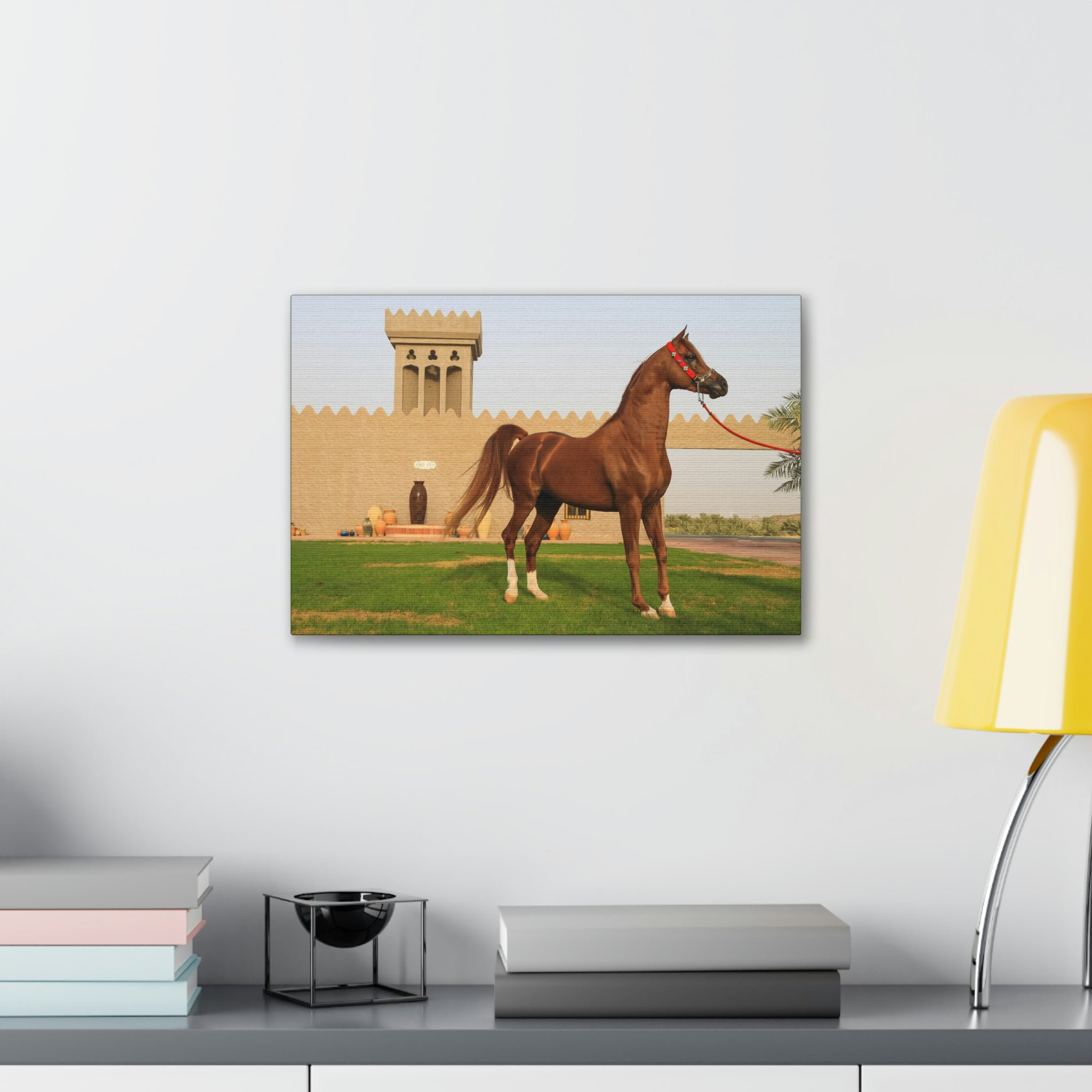 Union Rustic Funny Arab Horse Indoor Wall Art | Wayfair