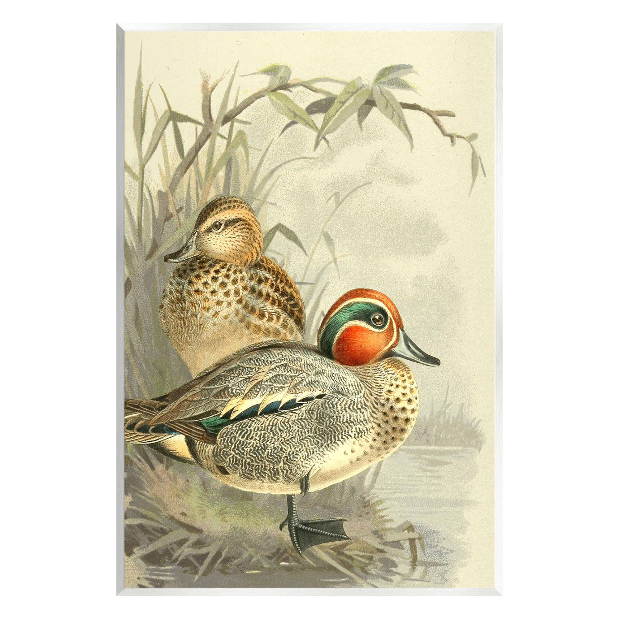 Stupell Industries Ducks with Pond Botanicals Wall Plaque Art by Gail ...