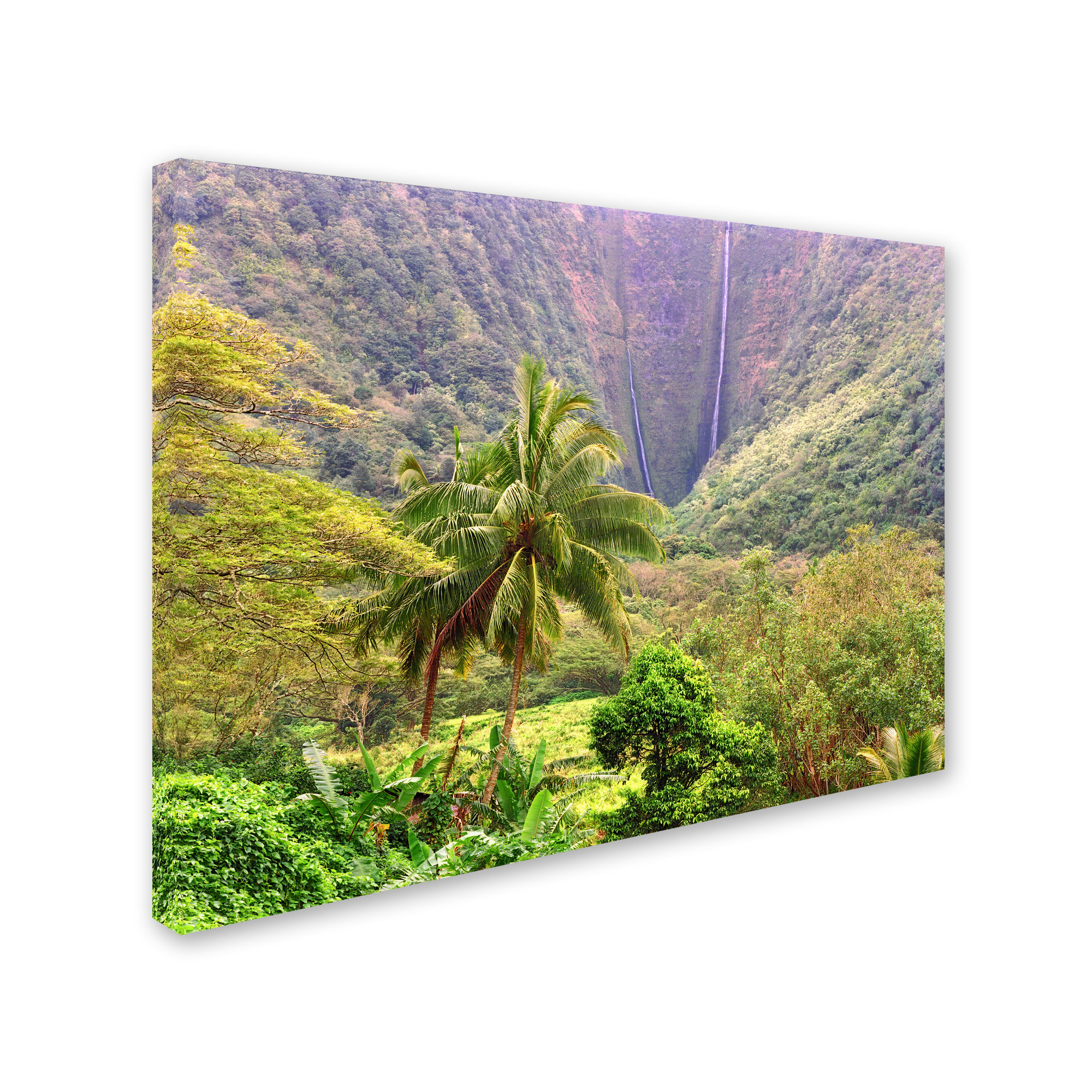 Millwood Pines Alexan 'Waipio Valley' Photographic Print on Wrapped ...