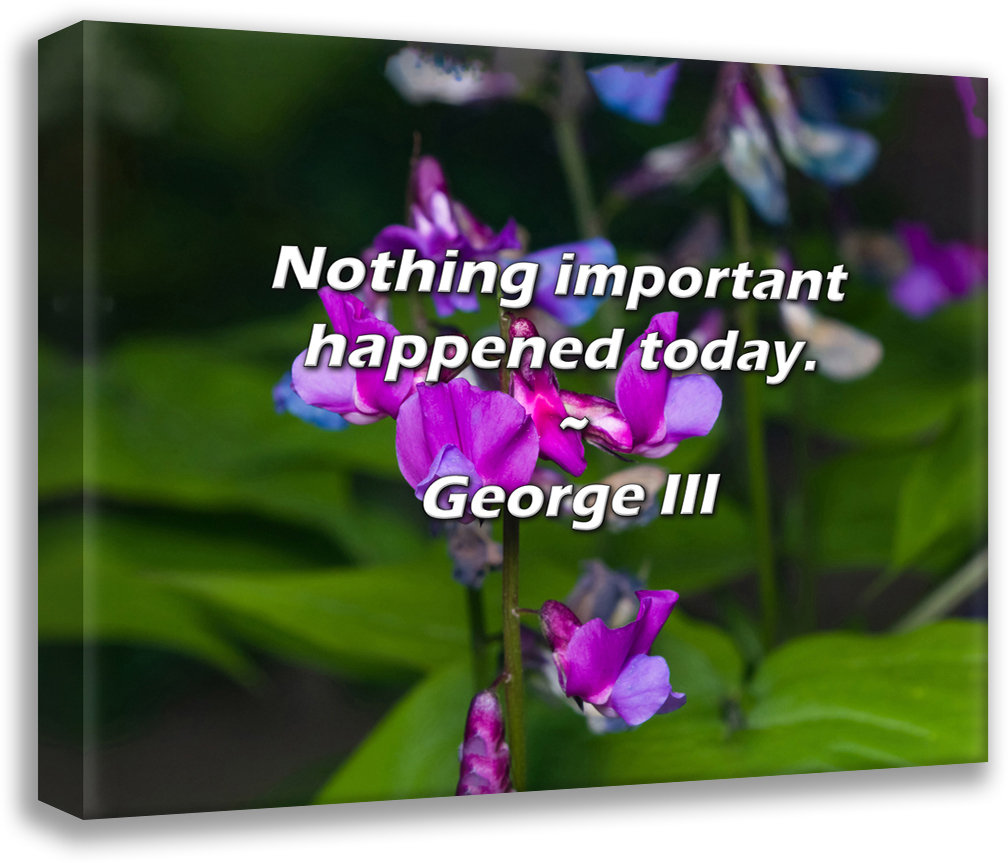 Ebern Designs George III Quote: Nothing important happened today. | Wayfair