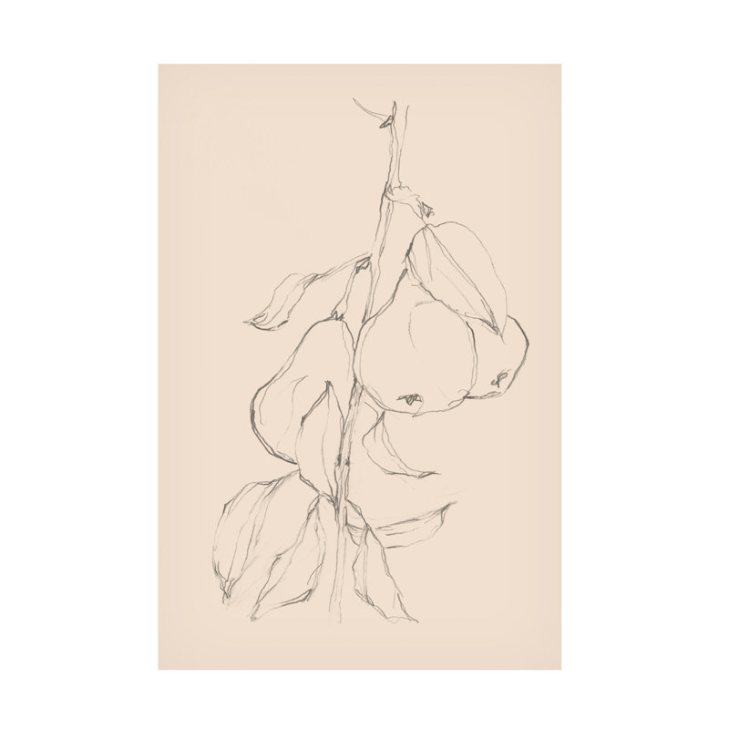 August Grove® Fruit Contour Study II by Ethan Harper - Wrapped Canvas ...