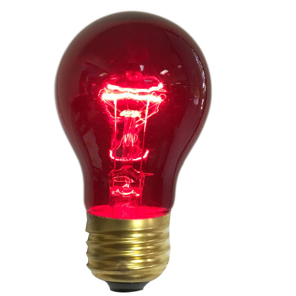 RoyalDesigns 15 Watt A15 E26/Medium (Standard) Incandescent Bulb ...