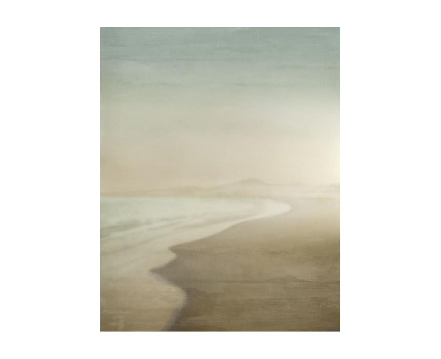 Chelsea Art Studio Misty Shore by Elena Carlie - Graphic Art | Wayfair