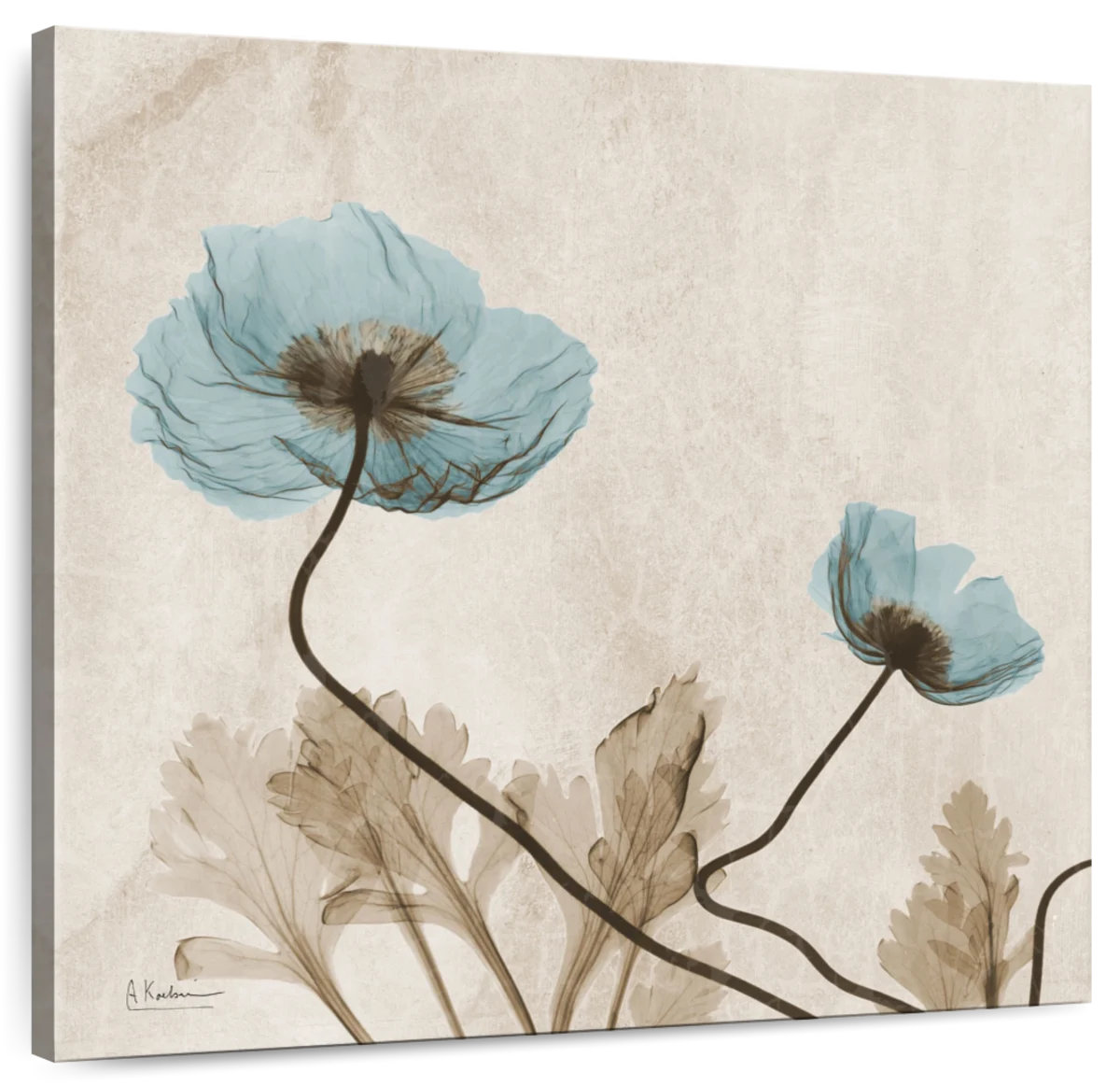 Lark Manor™ Harnek Blue Poppy X-ray | Wayfair