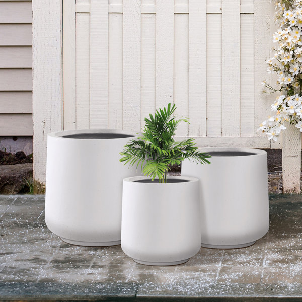 AllModern Tali 3 Piece Round Concrete Planter, Outdoor Indoor Large ...