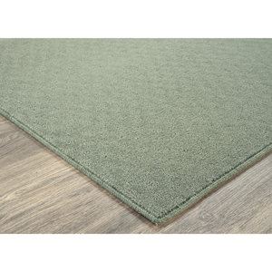 Ebern Designs Bonroy Area Rug Sage | Wayfair