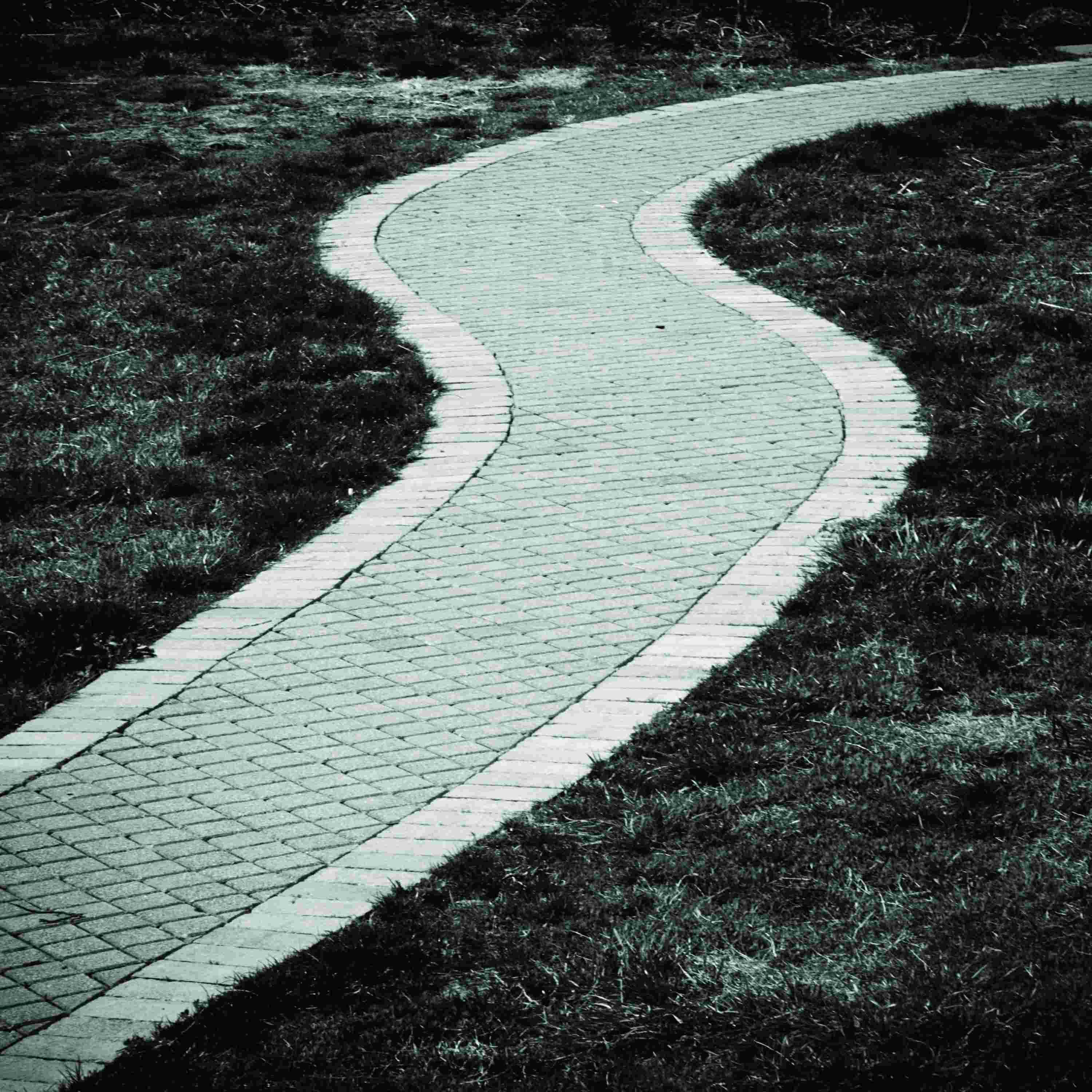 Ebern Designs Grayscale Walking Path Photography | Wayfair