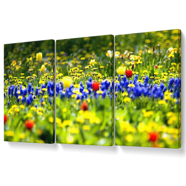 Ebern Designs Spring Fling - 3 Piece Wrapped Canvas Art Prints ...