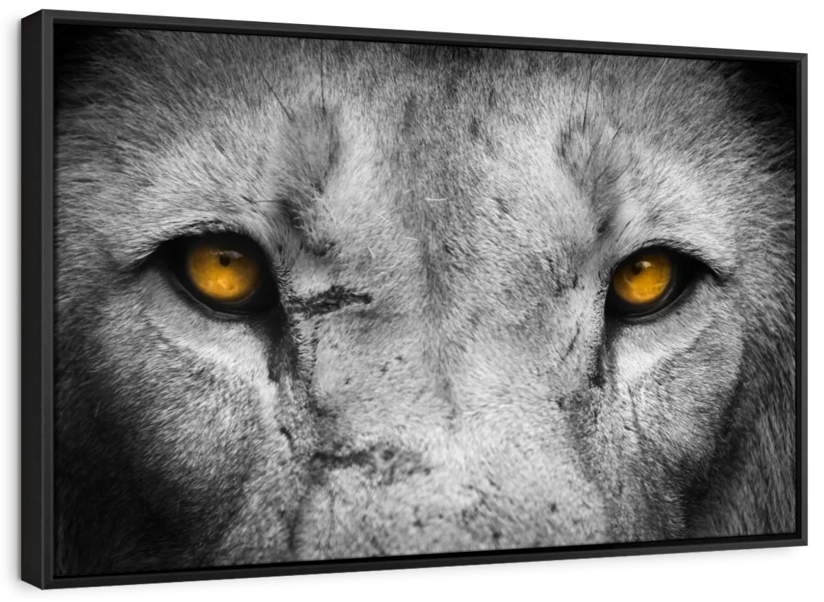 Latitude Run® Lion Eyes Pop Canvas Print | Wayfair