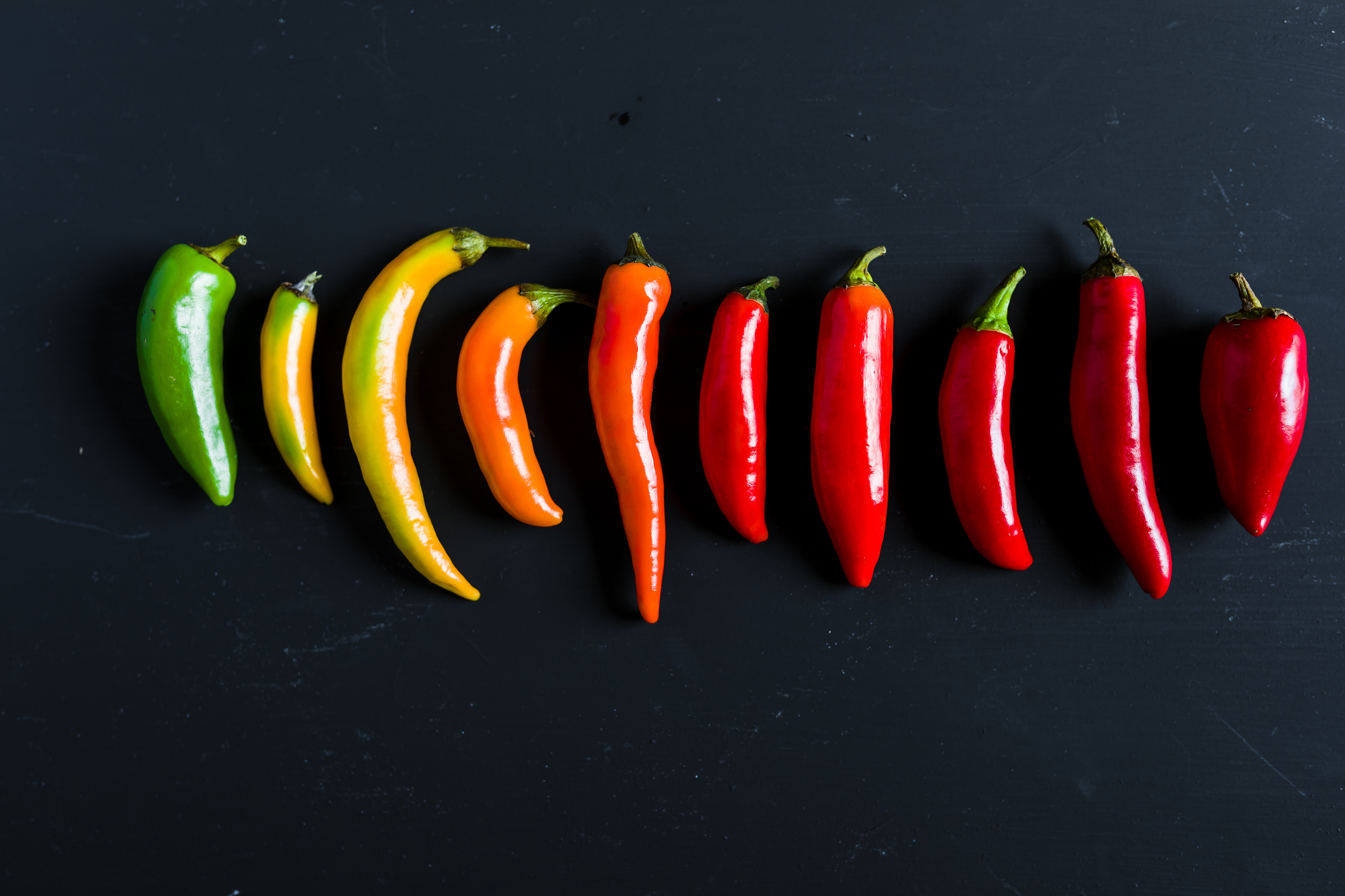 Ebern Designs Chilli Peppers by Natasha Photo - Wrapped Canvas ...