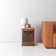 AllModern Zebulon End Table with Storage & Reviews | Wayfair